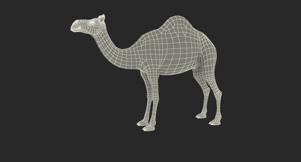 3d model camel rigged