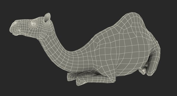 3d model camel rigged