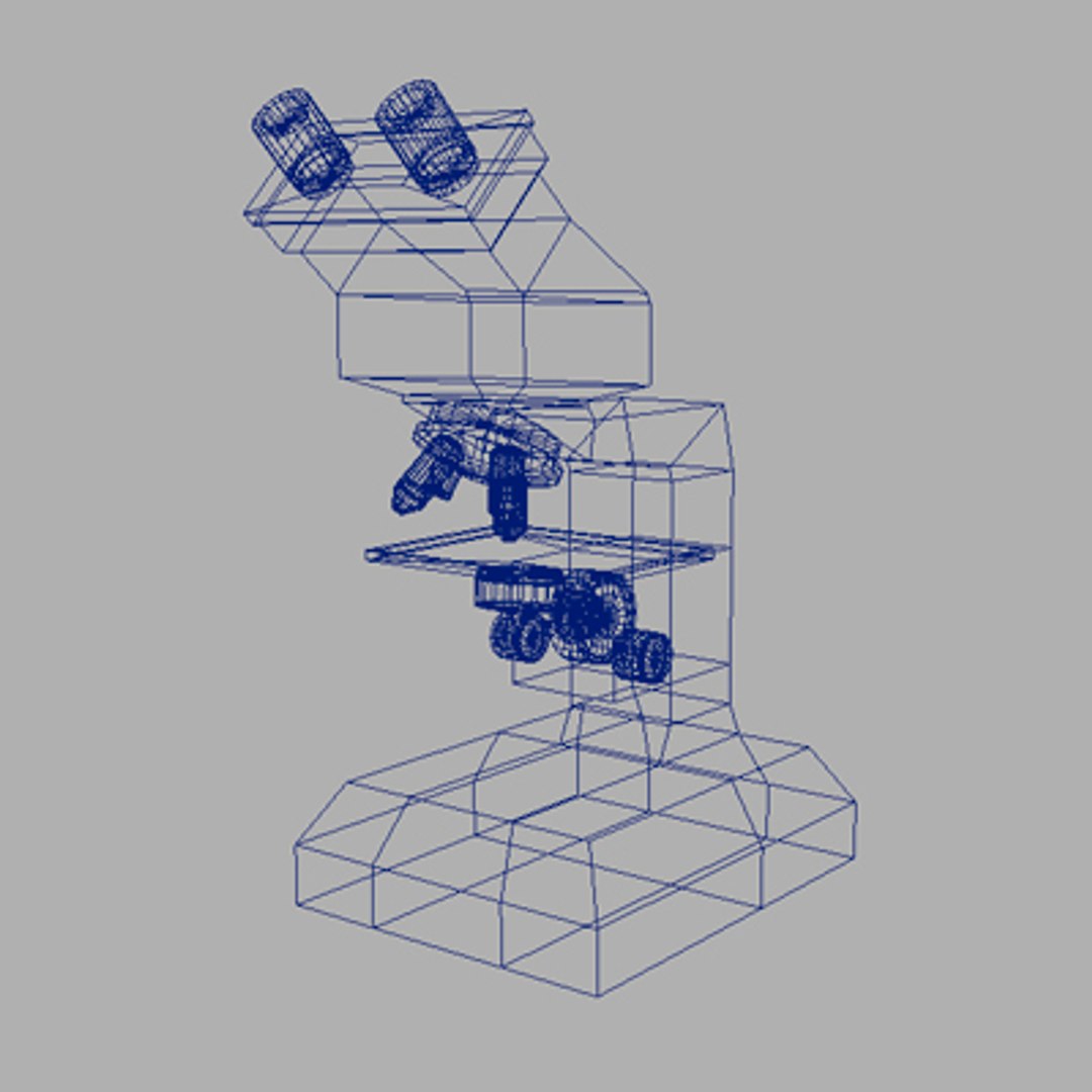 3d Microscope