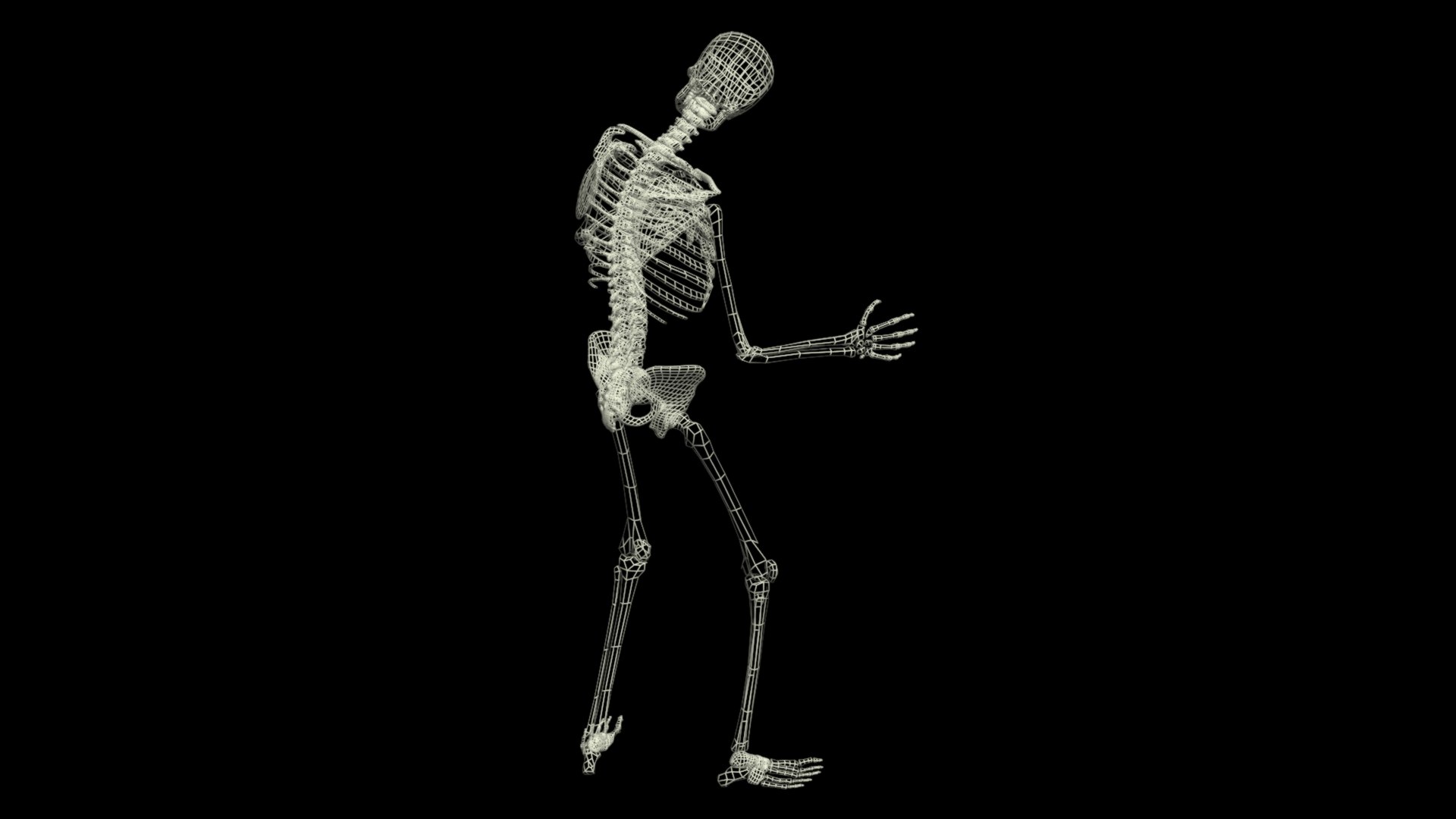 3D Skeleton Rigged 3D Animations Set 4 - 25 In 1 Model - TurboSquid 1884386