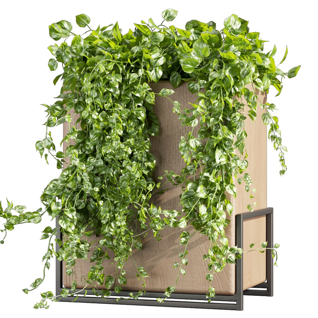Collection Plant Vol 520 - Box - Palm - Office - Pothos 3D Model ...