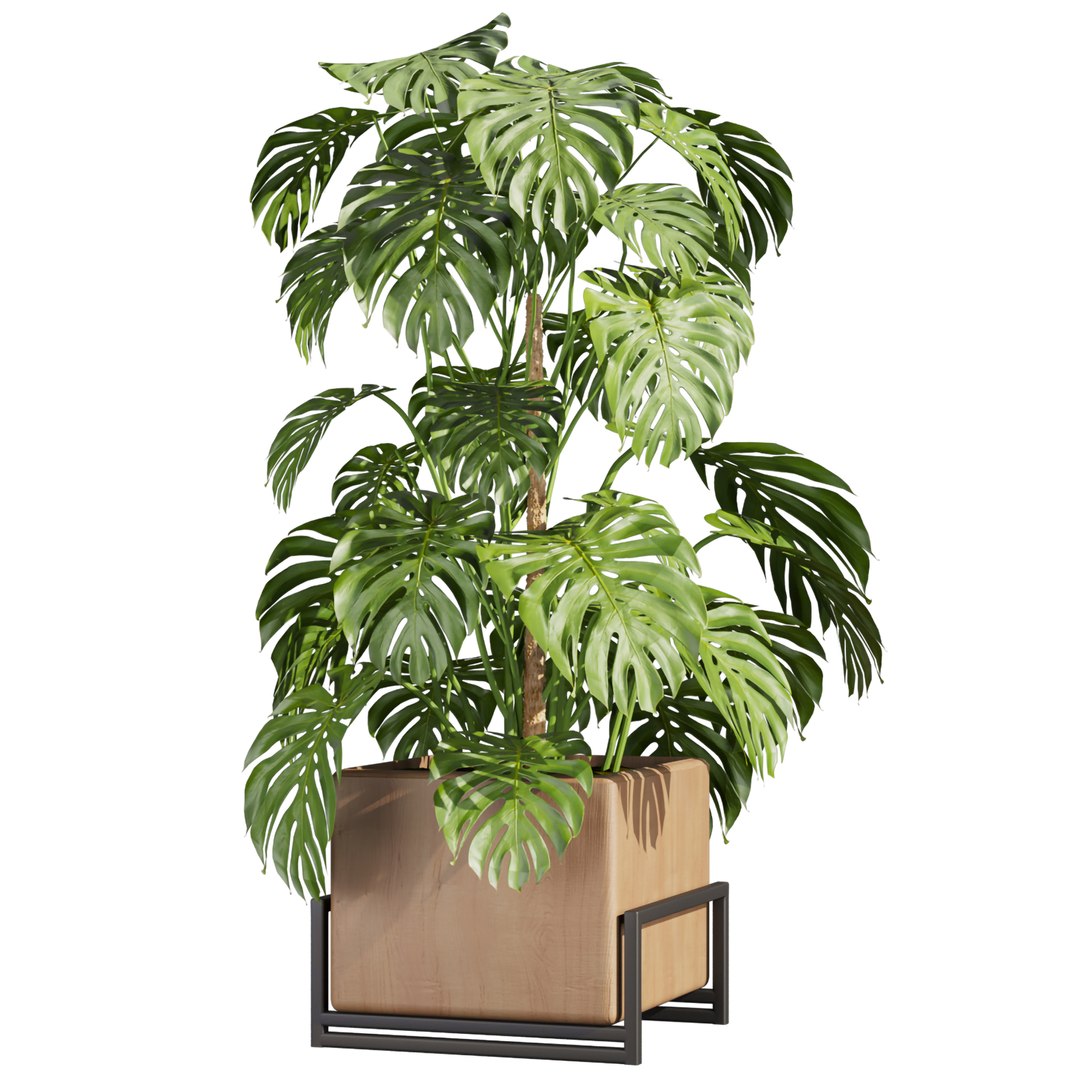 Collection Plant Vol 520 - Box - Palm - Office - Pothos 3D Model ...