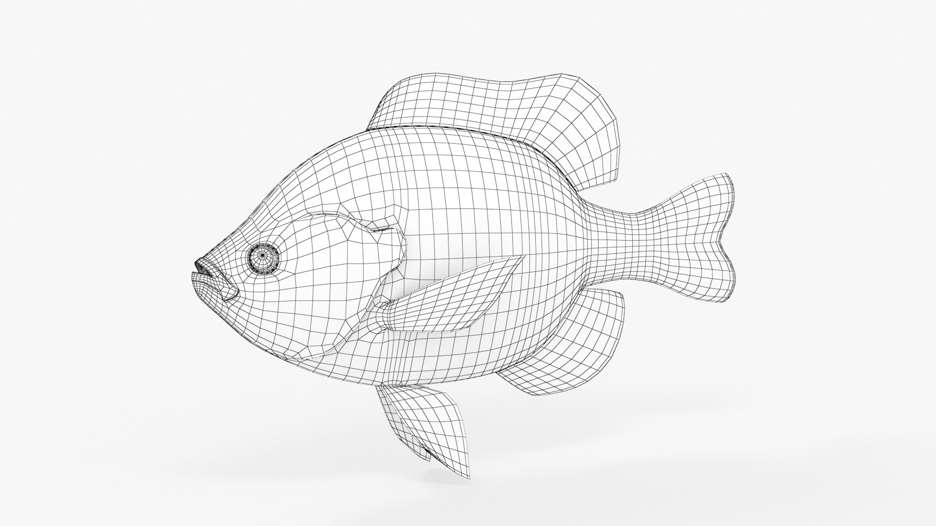 Bluegill 3D Model - TurboSquid 1772559