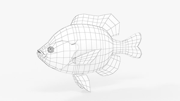 Bluegill 3D model - TurboSquid 1772559