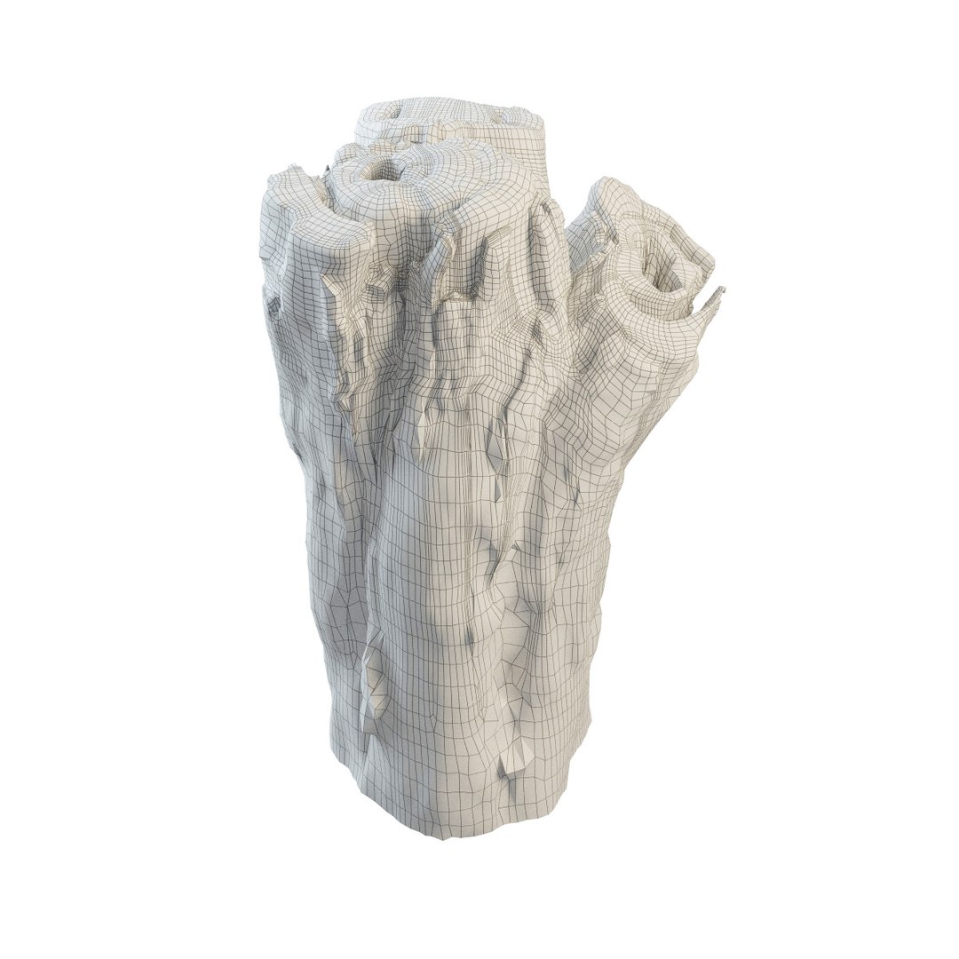 3d Realistic Scanned Trunk Model