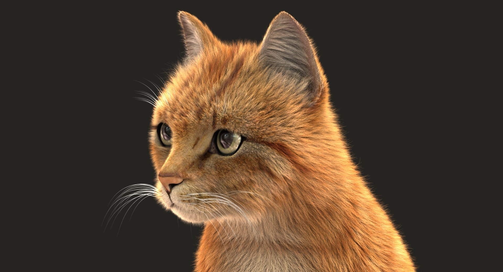 Cat Rigged Fur 2 3D Model - TurboSquid 1304218