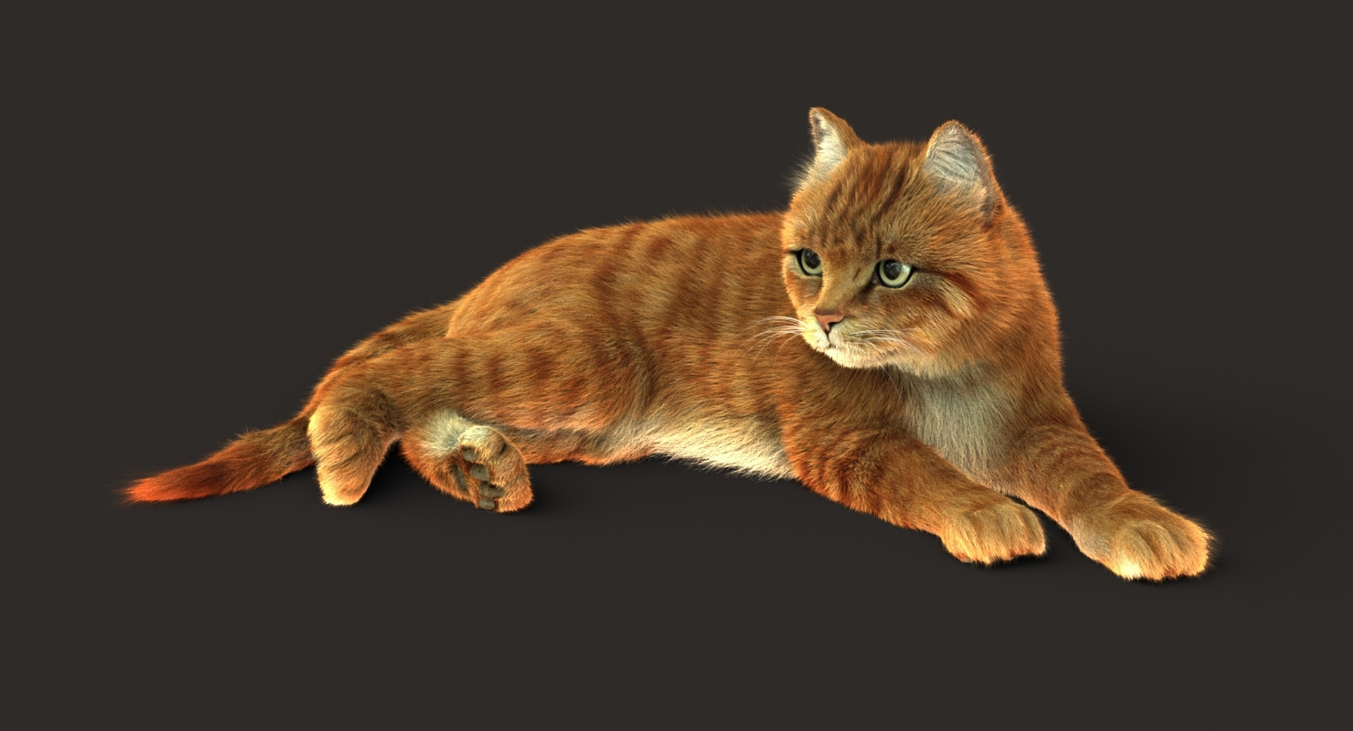 Cat Rigged Fur 2 3D Model - TurboSquid 1304218