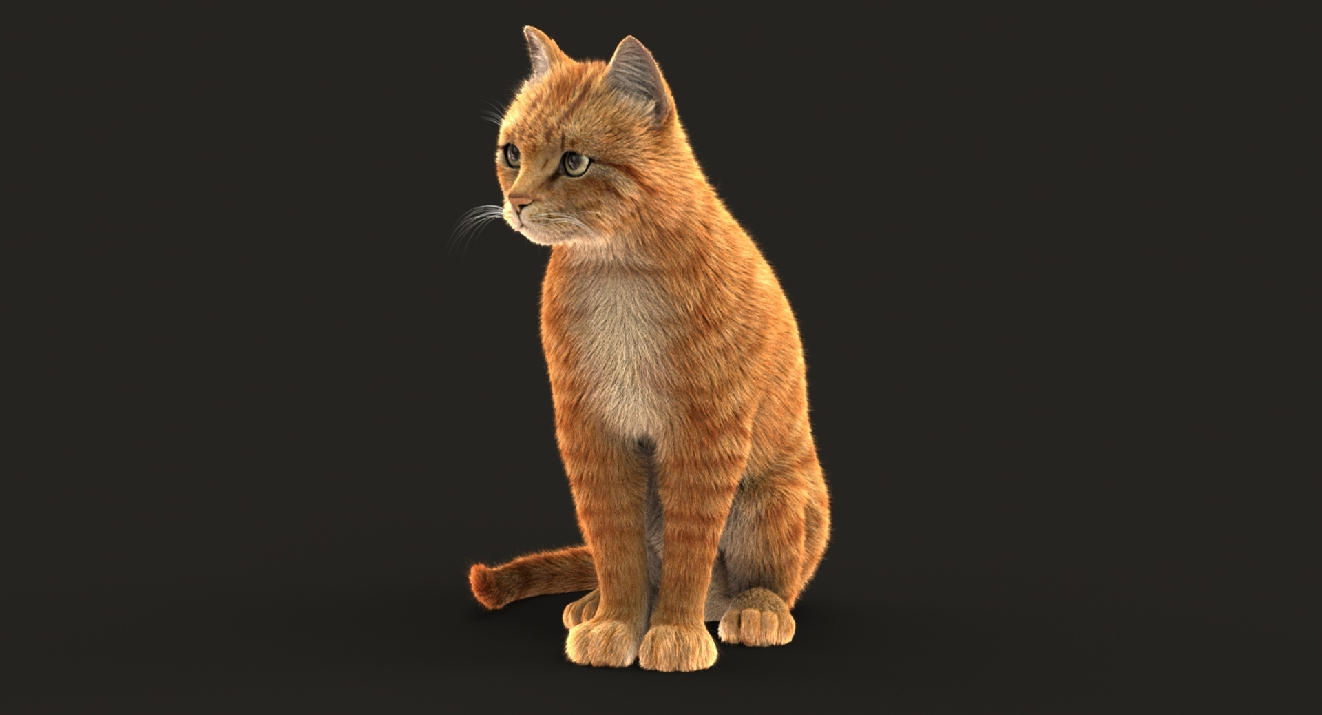 Cat Rigged Fur 2 3D Model - TurboSquid 1304218