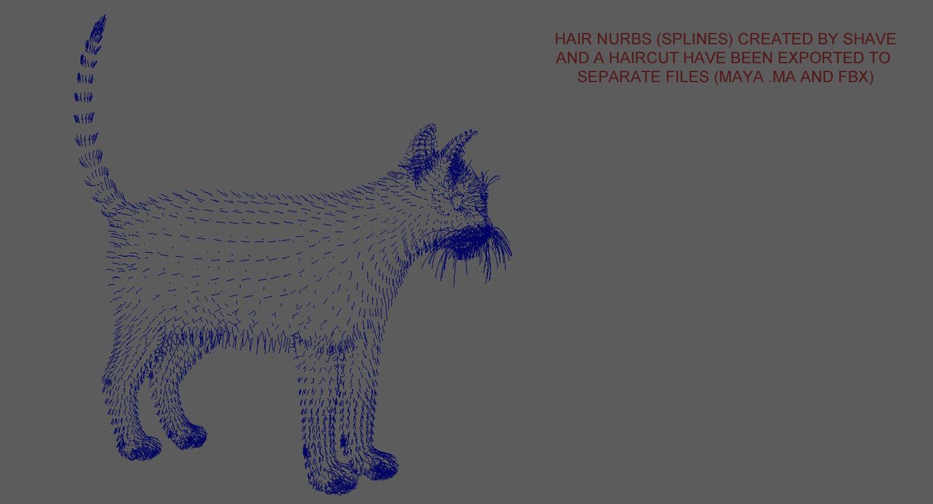 Cat rigged fur 2 3D model - TurboSquid 1304218