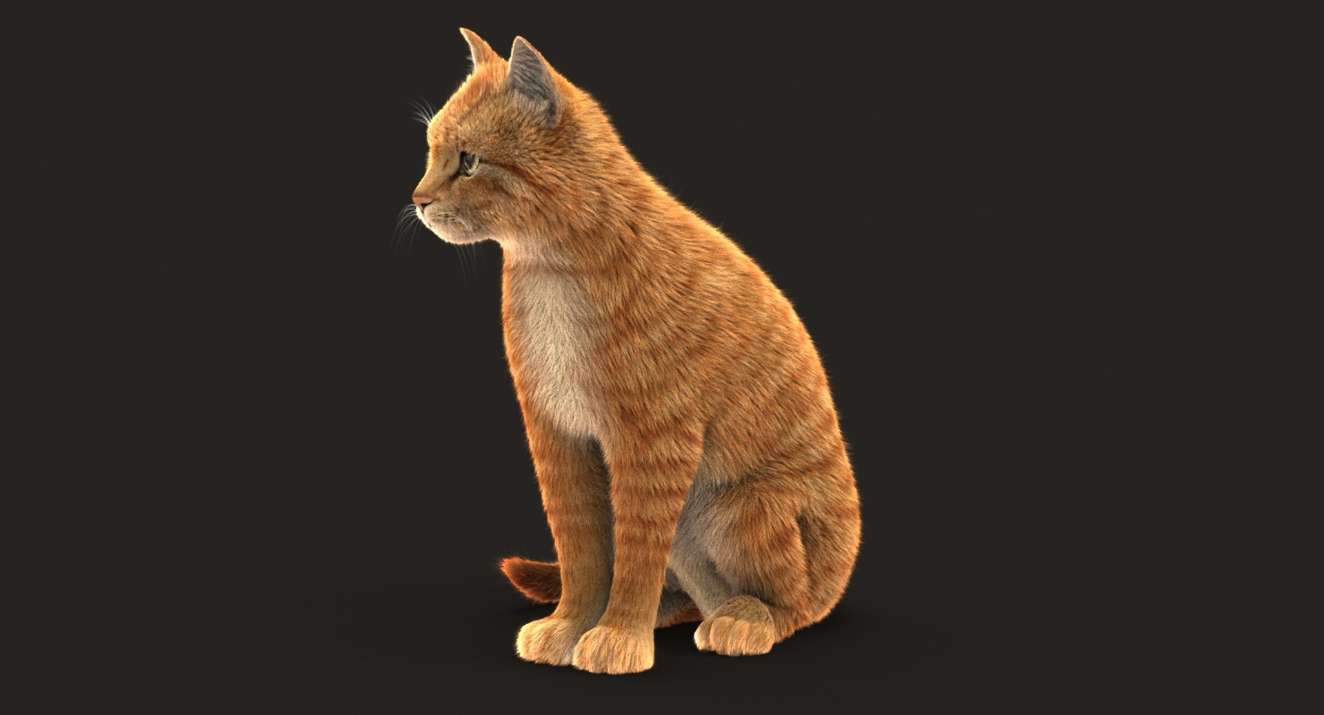 Cat rigged fur 2 3D model - TurboSquid 1304218