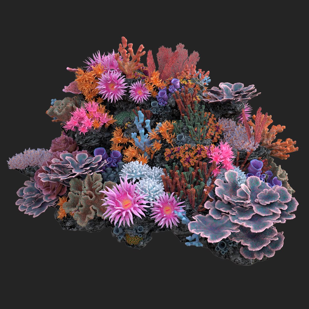3D Model Coralreef N 02 - TurboSquid 1273220
