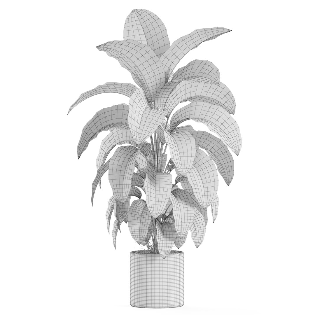 3D model Plants collection 979 - TurboSquid 2104025