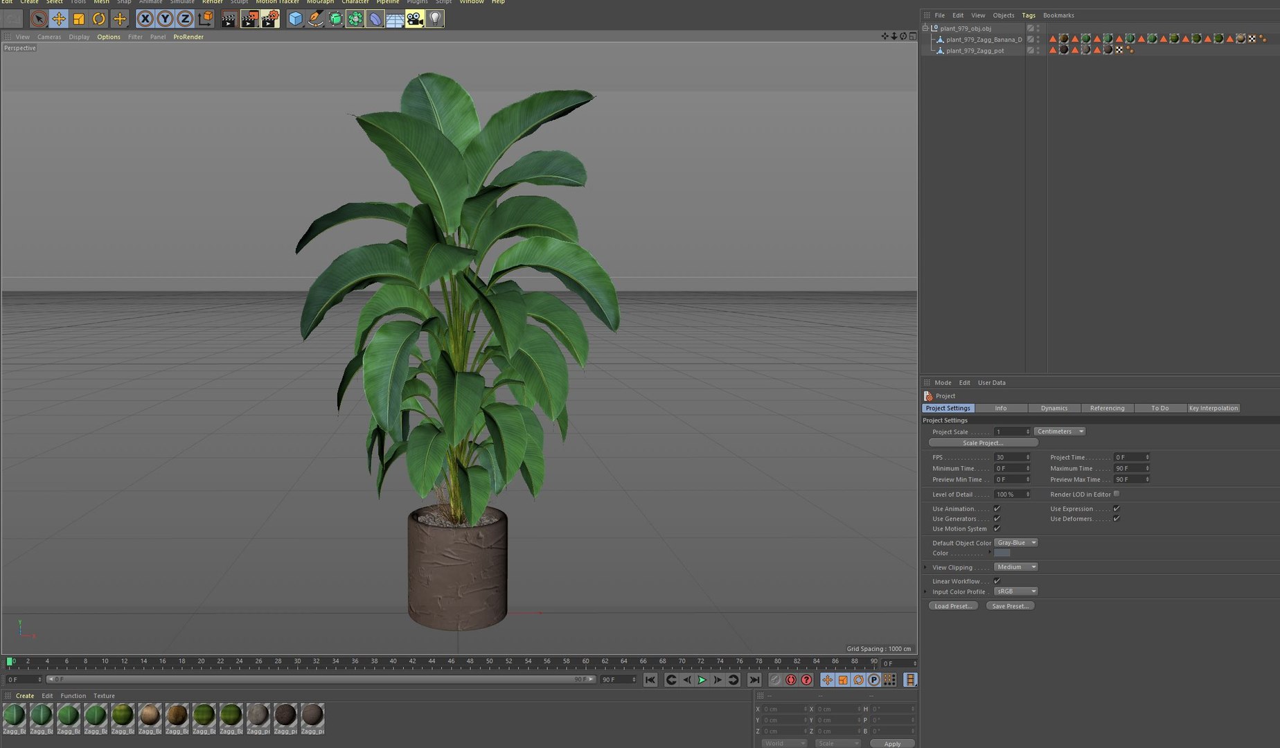 3D model Plants collection 979 - TurboSquid 2104025
