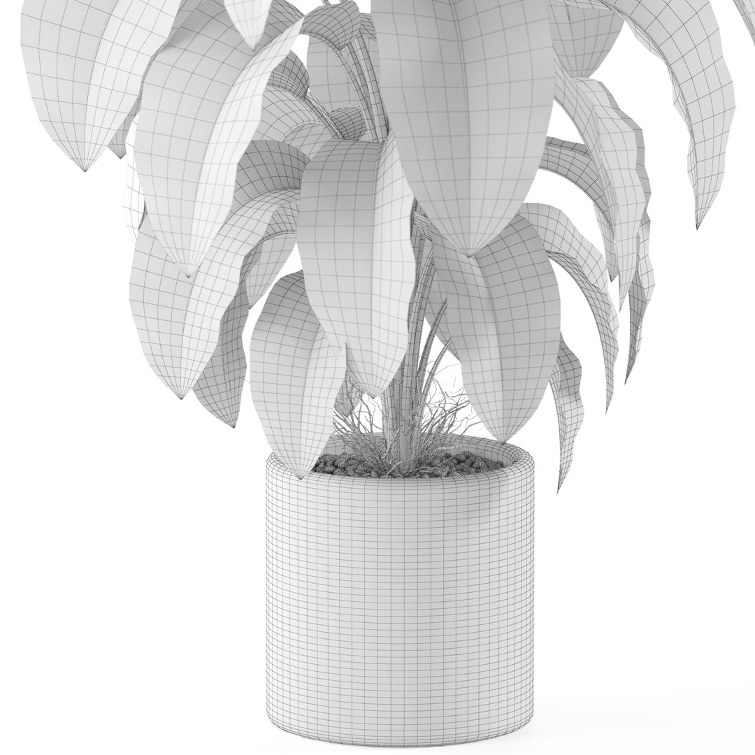 3D model Plants collection 979 - TurboSquid 2104025