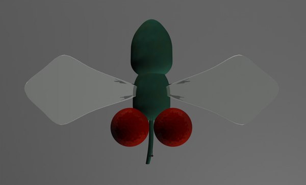 3d flying model