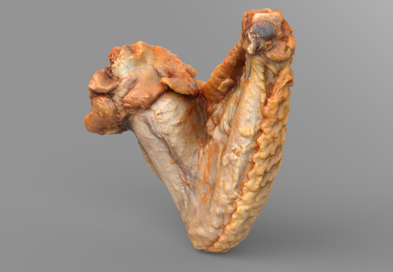 Chicken Wing 3D Model - TurboSquid 2002074