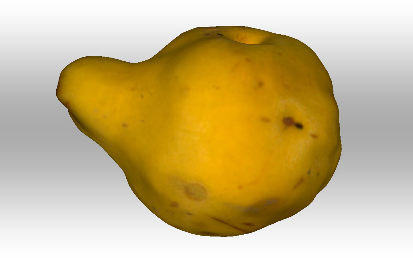 3D quince model - TurboSquid 1641420
