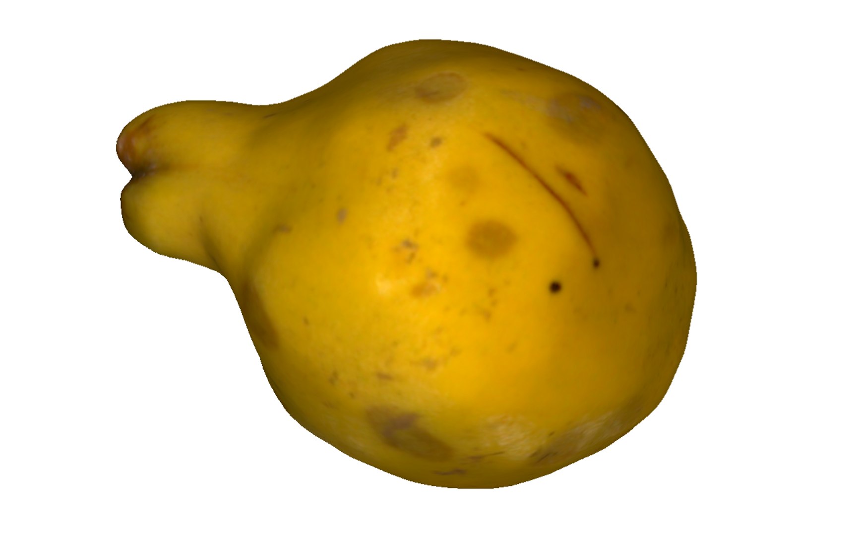 3D quince model - TurboSquid 1641420