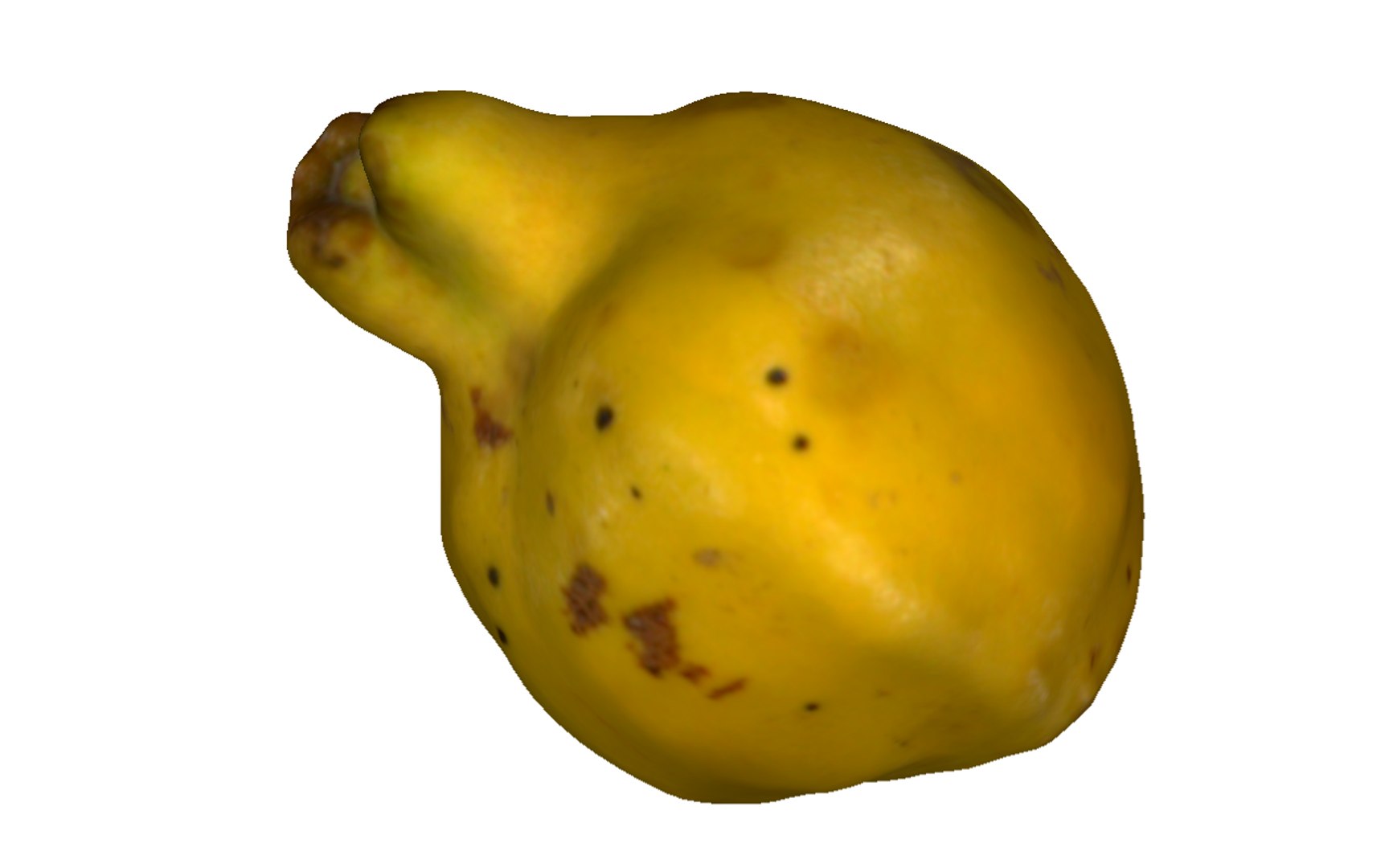 3D quince model - TurboSquid 1641420