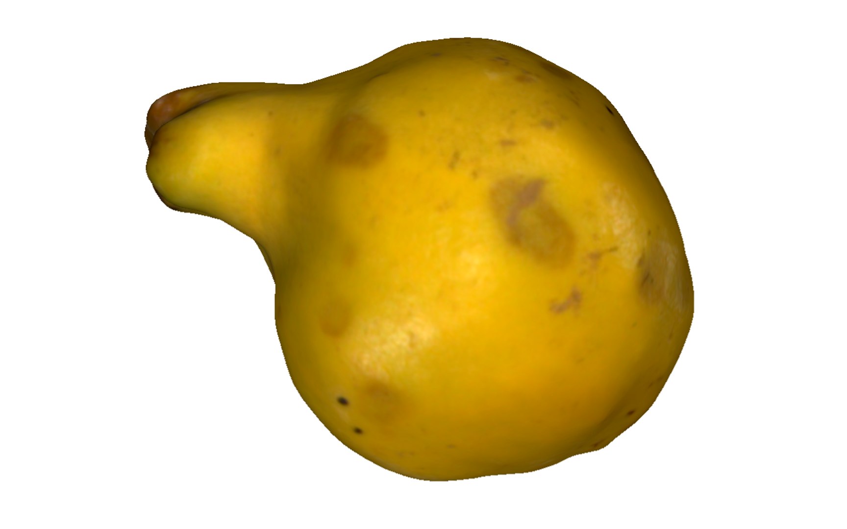 3D quince model - TurboSquid 1641420