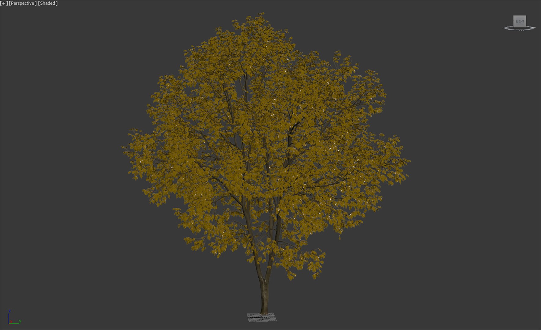 Tree Ash Ash-tree 3D Model - TurboSquid 1688624