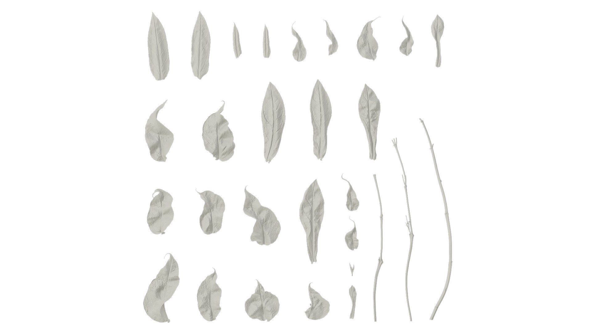 3D Model Anydrafts Penstemon Digitalis Leaf 03 Textures - TurboSquid ...