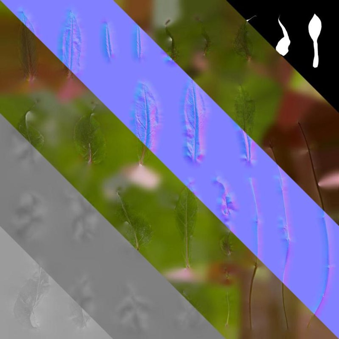 3D Model Anydrafts Penstemon Digitalis Leaf 03 Textures - TurboSquid ...