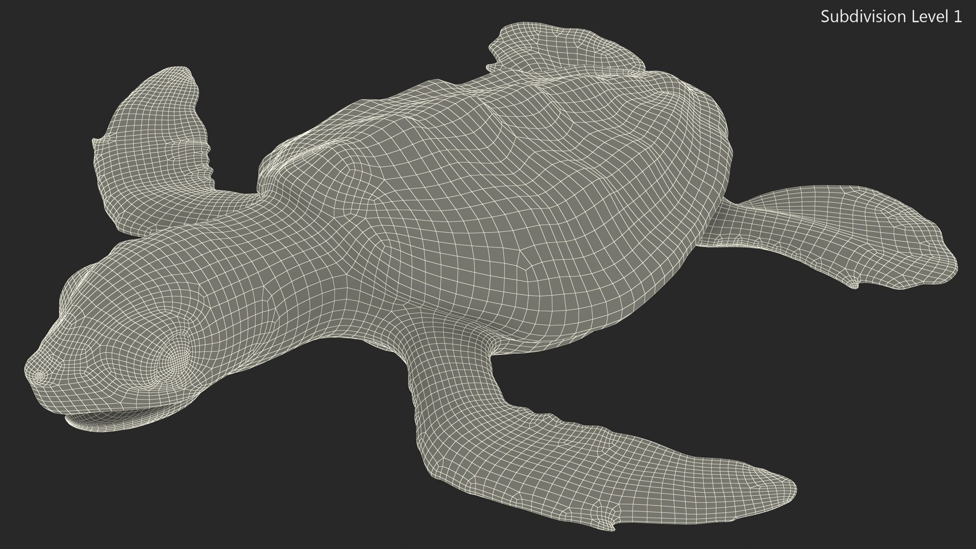 3D Baby Sea Turtle Brown - TurboSquid 2201980