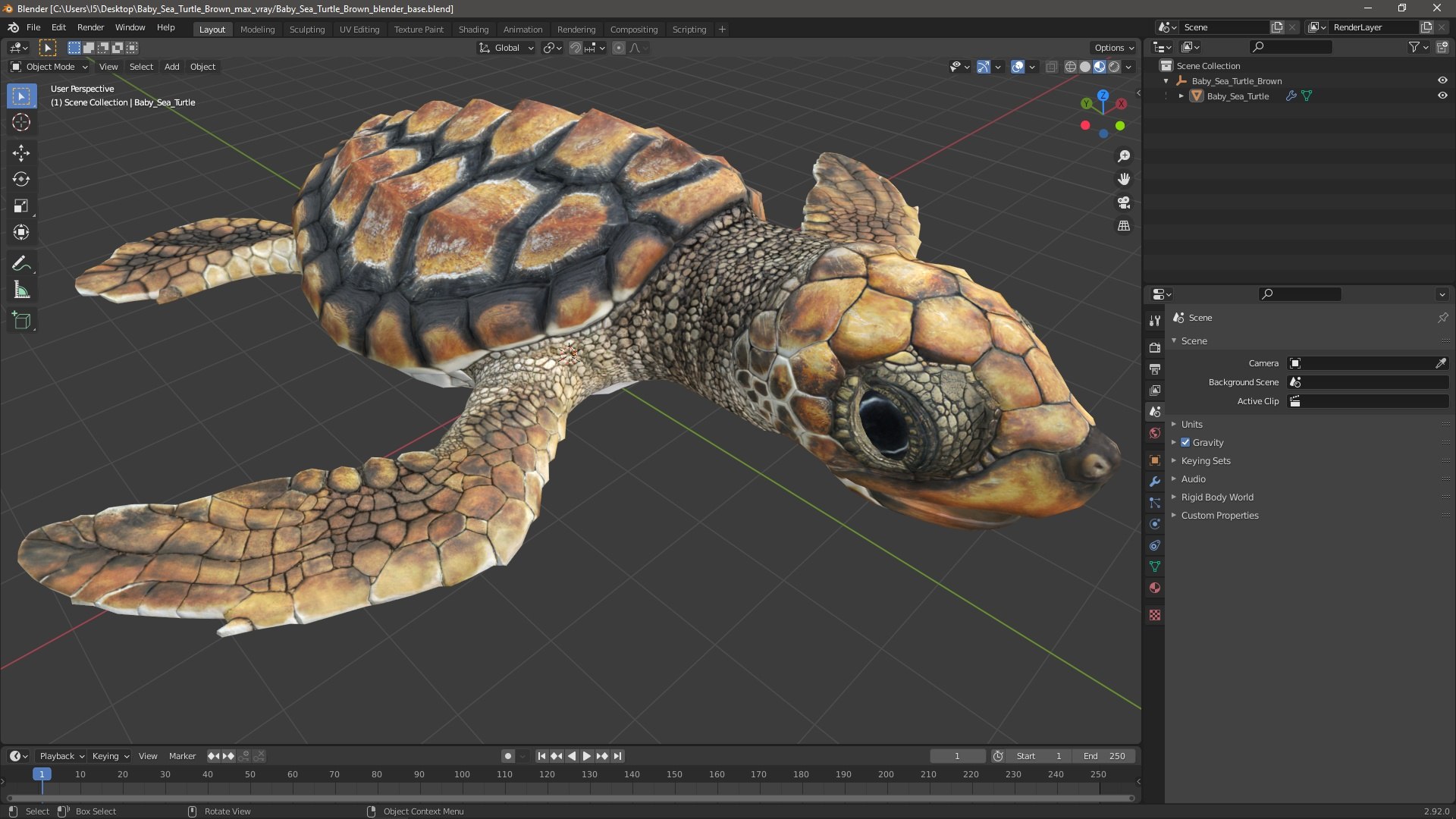 3D Baby Sea Turtle Brown - TurboSquid 2201980