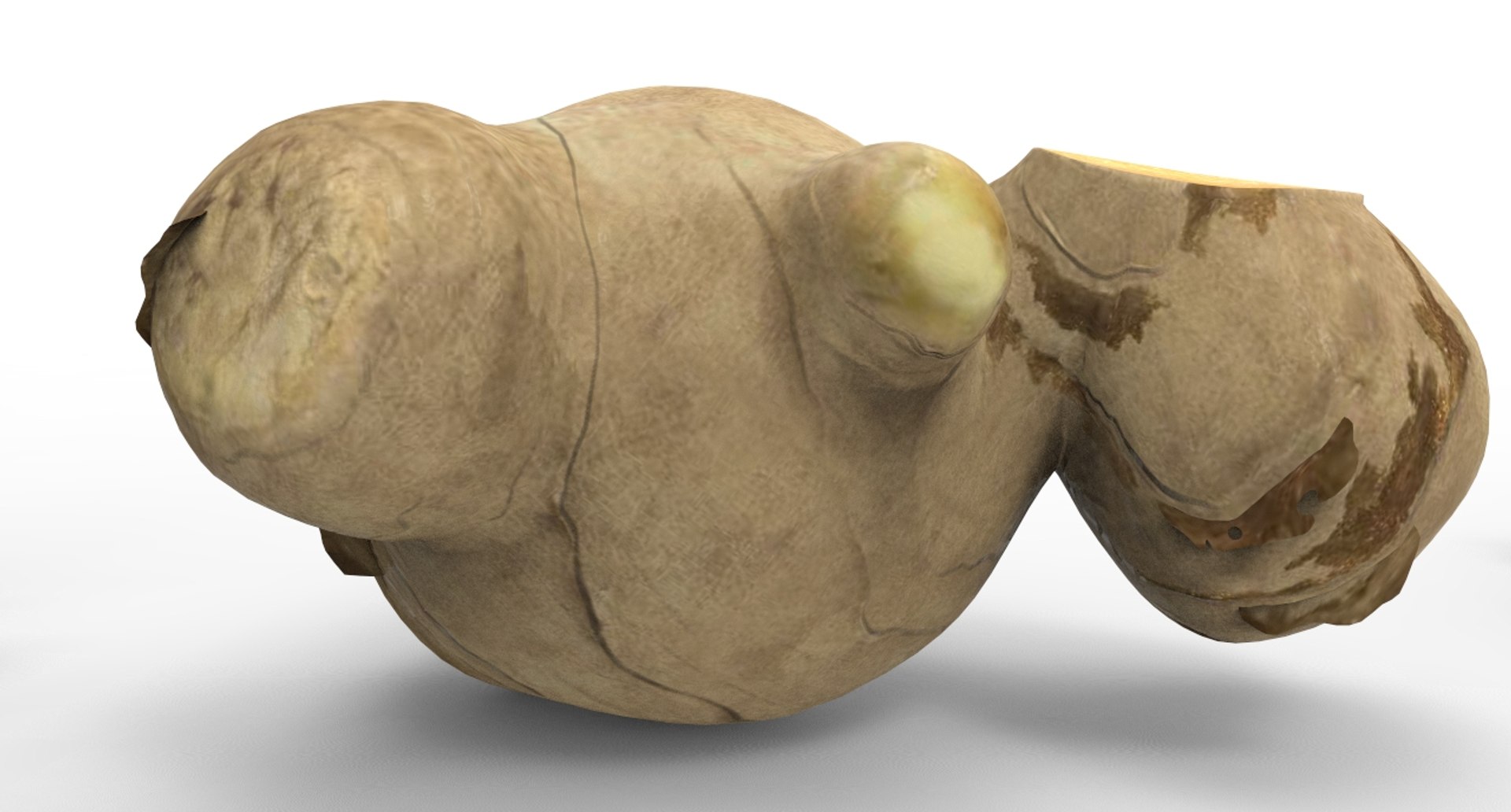 3D Ginger Spice Food Model - TurboSquid 1565710