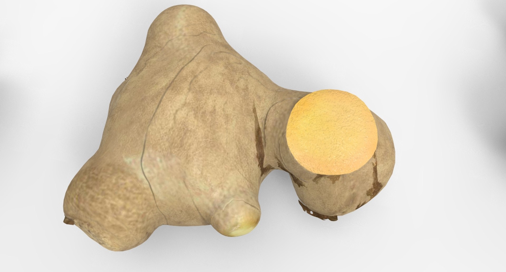 3D Ginger Spice Food Model - TurboSquid 1565710