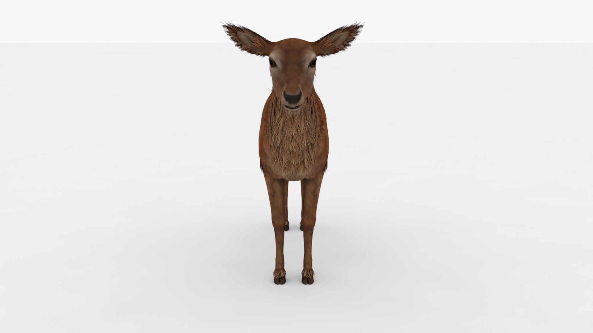 3D Model Doe - TurboSquid 2348759