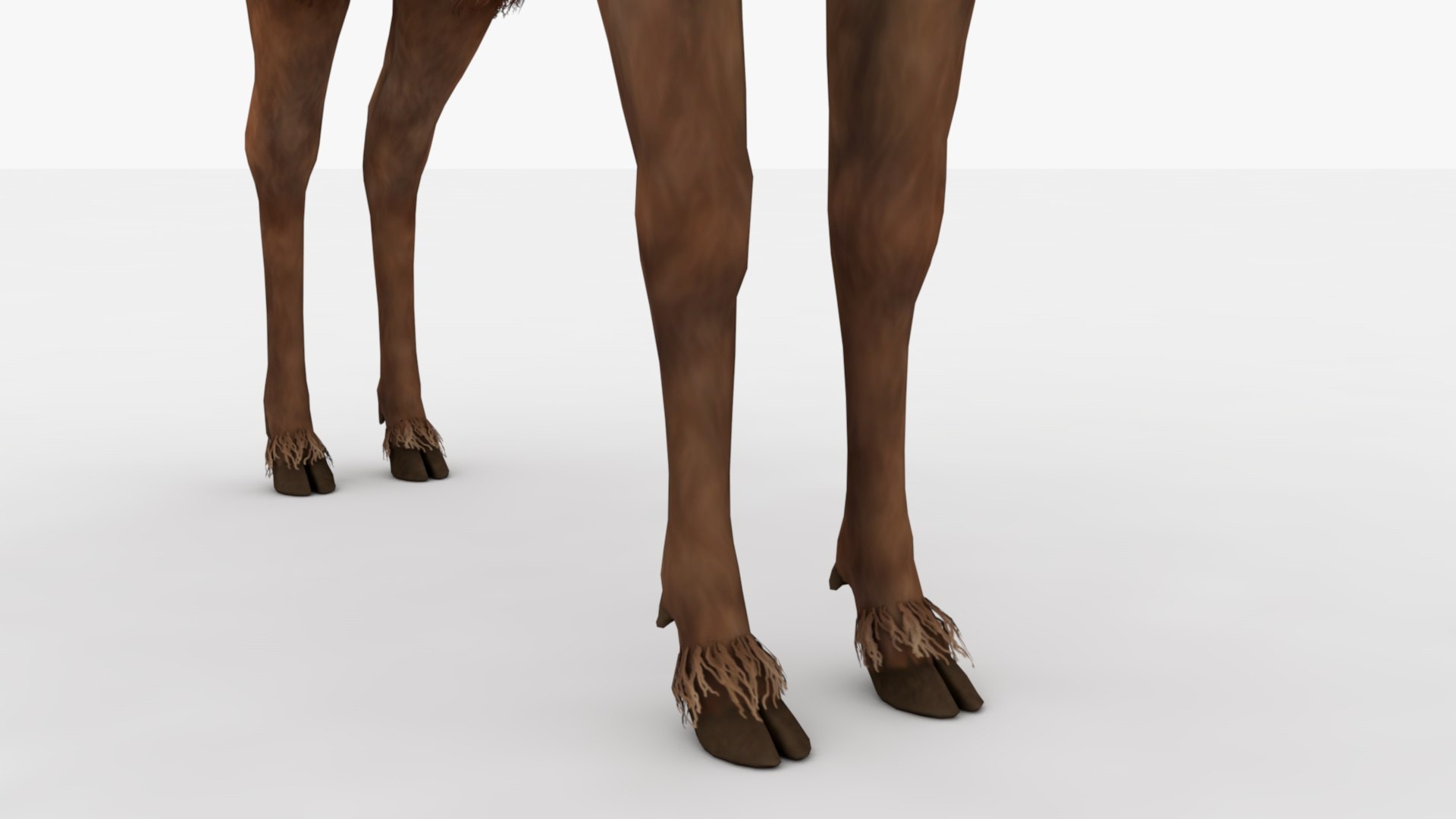 3D Model Doe - TurboSquid 2348759