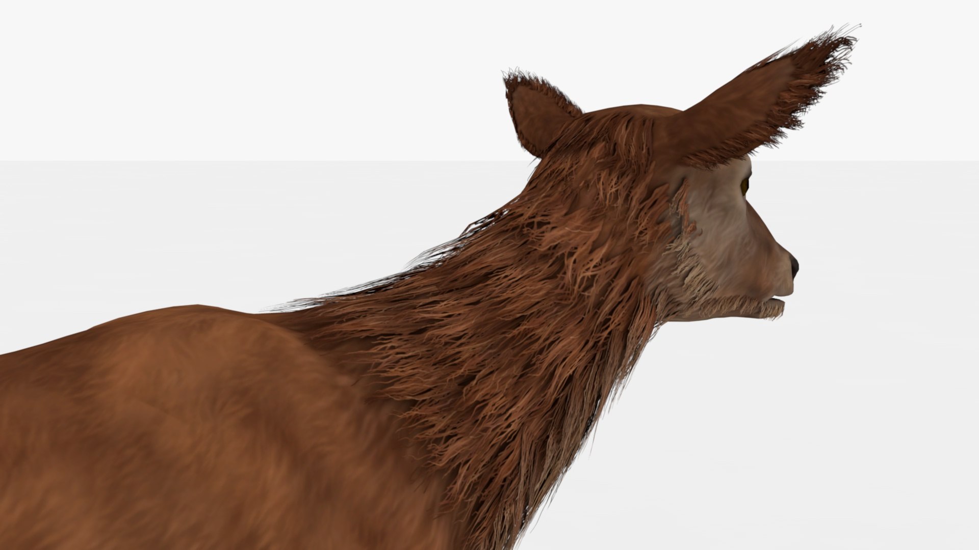3D Model Doe - TurboSquid 2348759