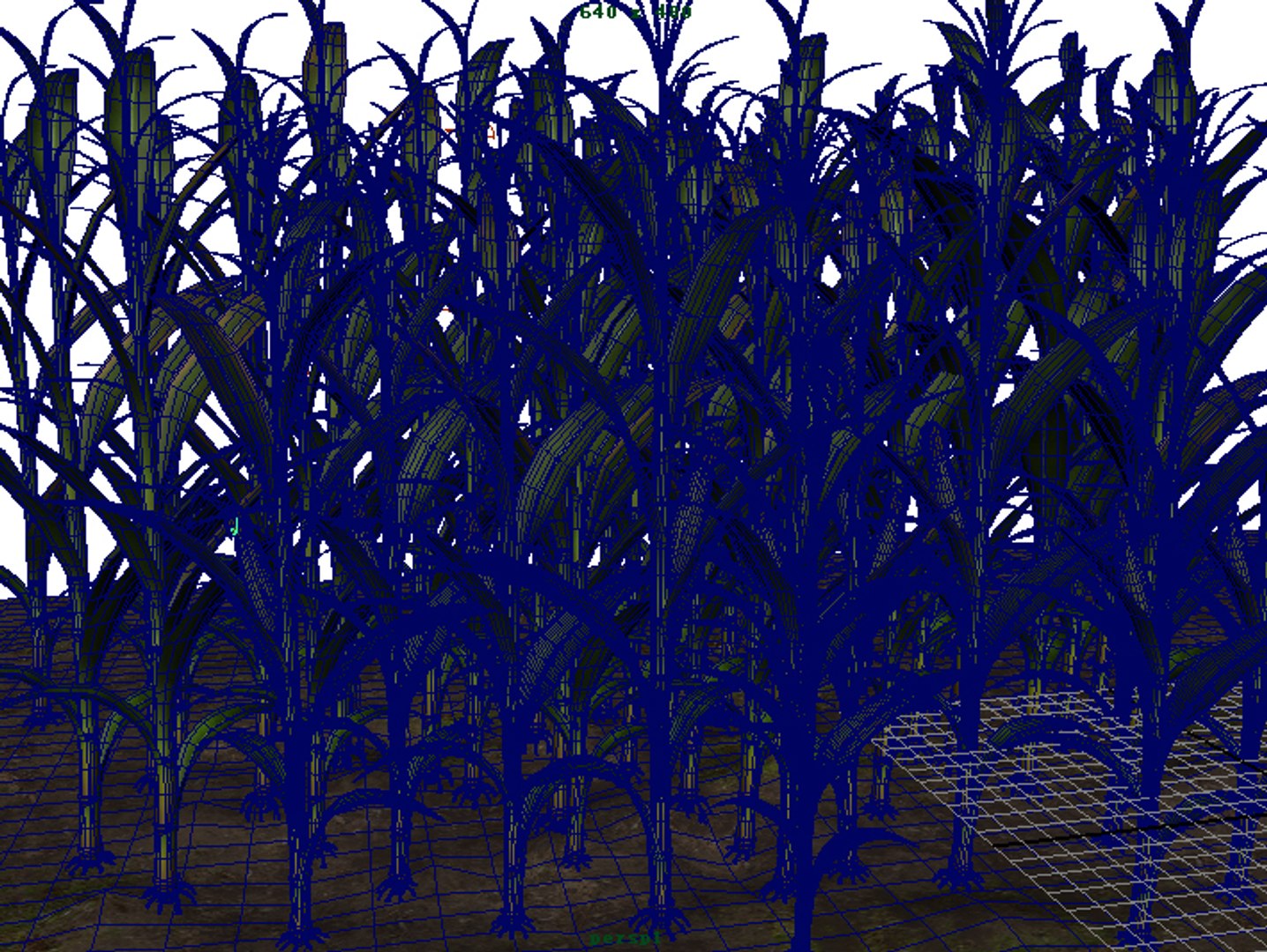 Max Corn Maize Maze