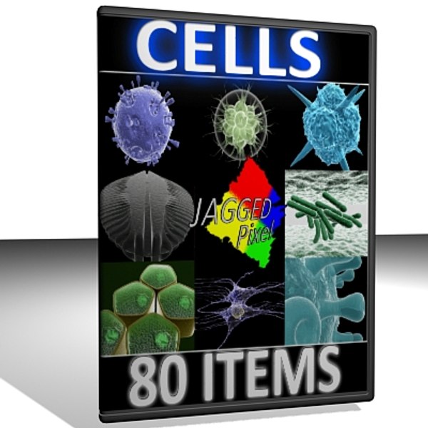 3D Polio Models | TurboSquid