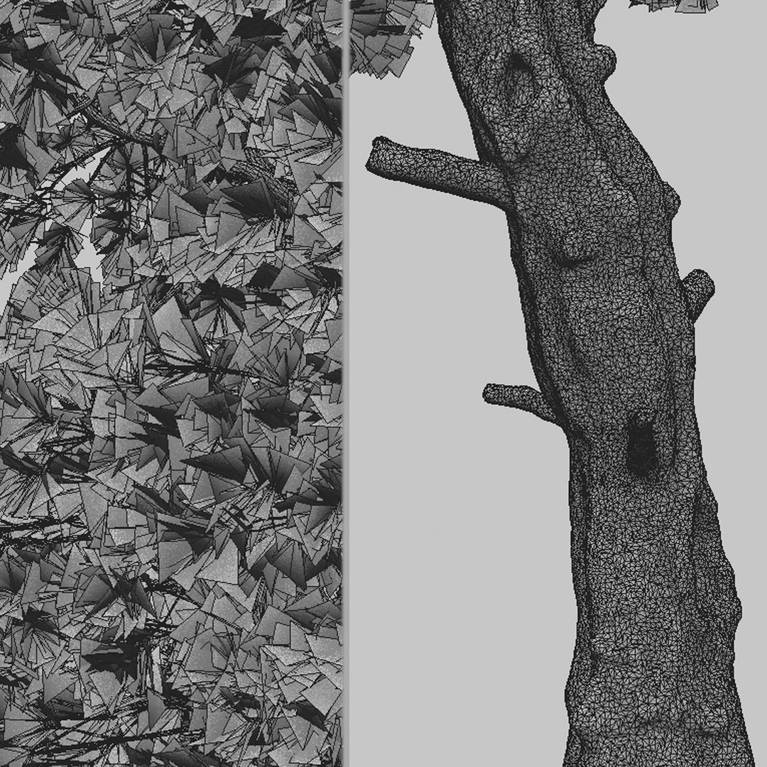 Set Of Gray Pine Or Pinus Sabiniana Tree - 2 Trees Model - TurboSquid ...