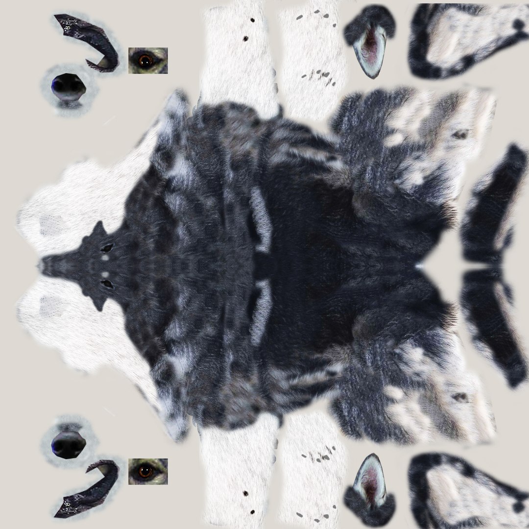 Siberian Husky 3D - TurboSquid 1159075