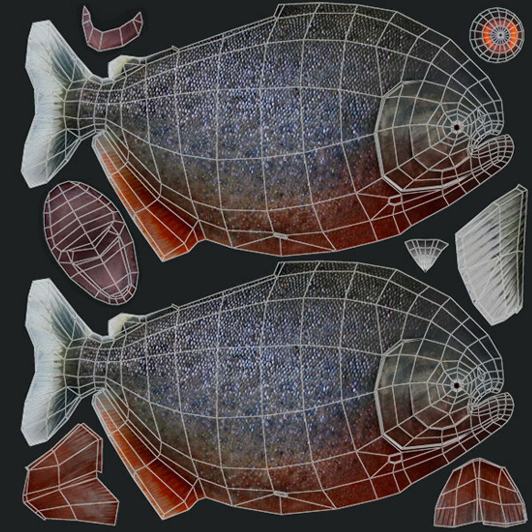 Piranha 3d Model