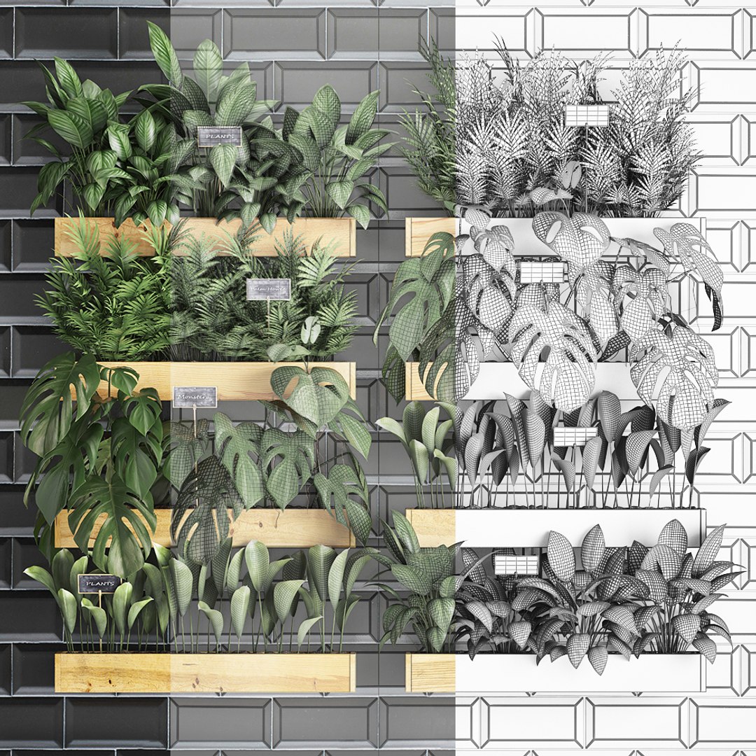 3D Plants Vertical Garden Decorative Model - TurboSquid 1450522