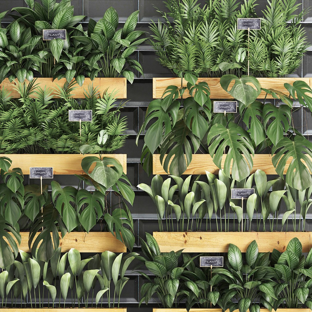 3D Plants Vertical Garden Decorative Model - TurboSquid 1450522