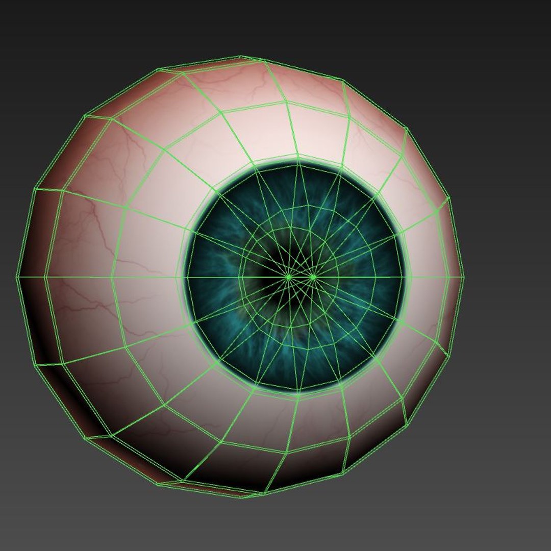 3d Human Eye