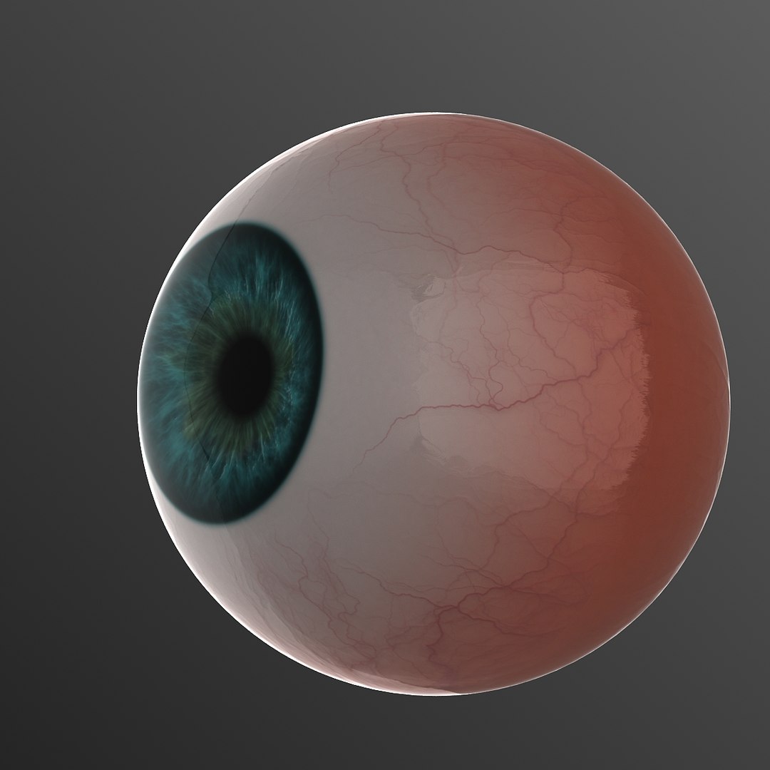 3d Human Eye