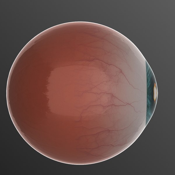 3d human eye