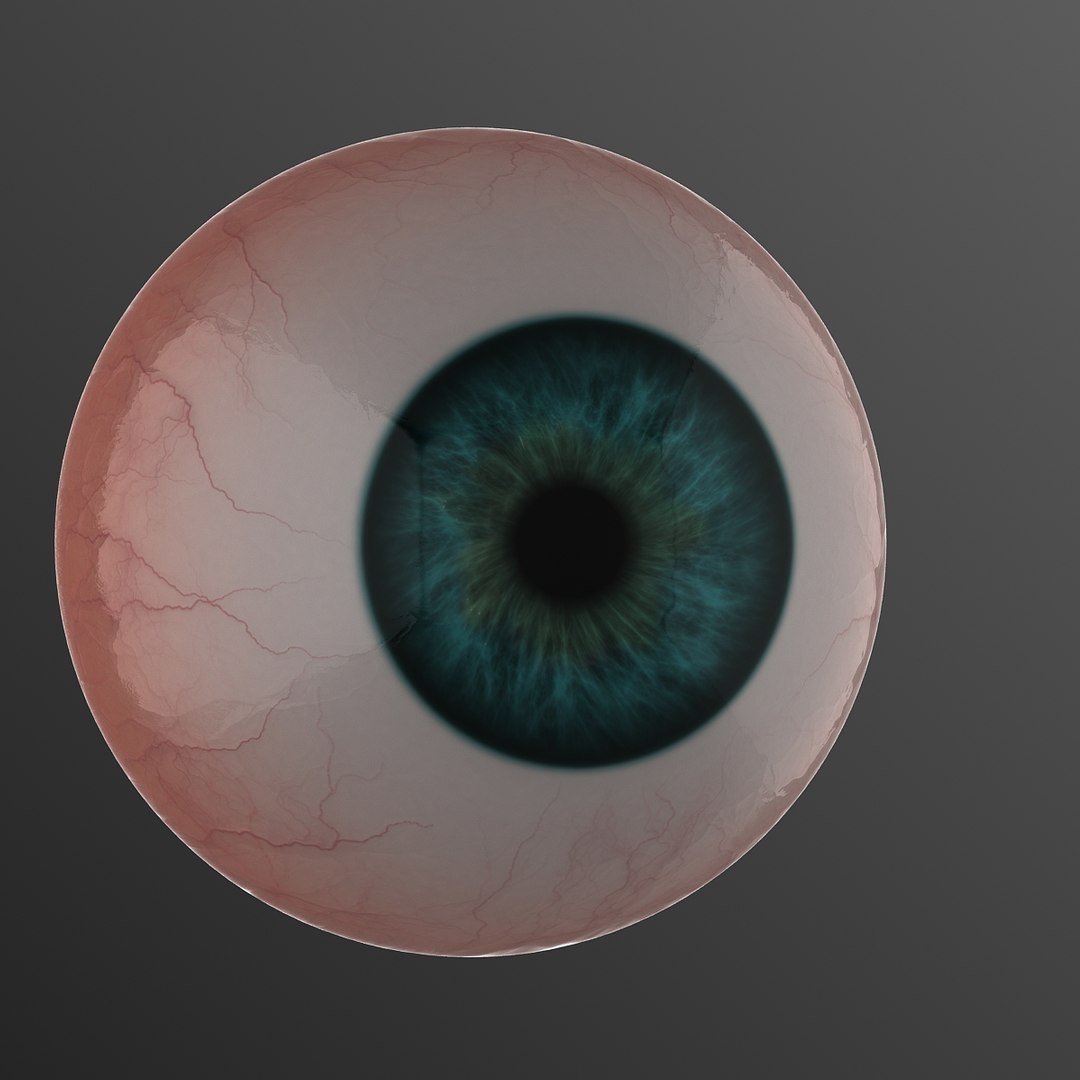 3d Human Eye