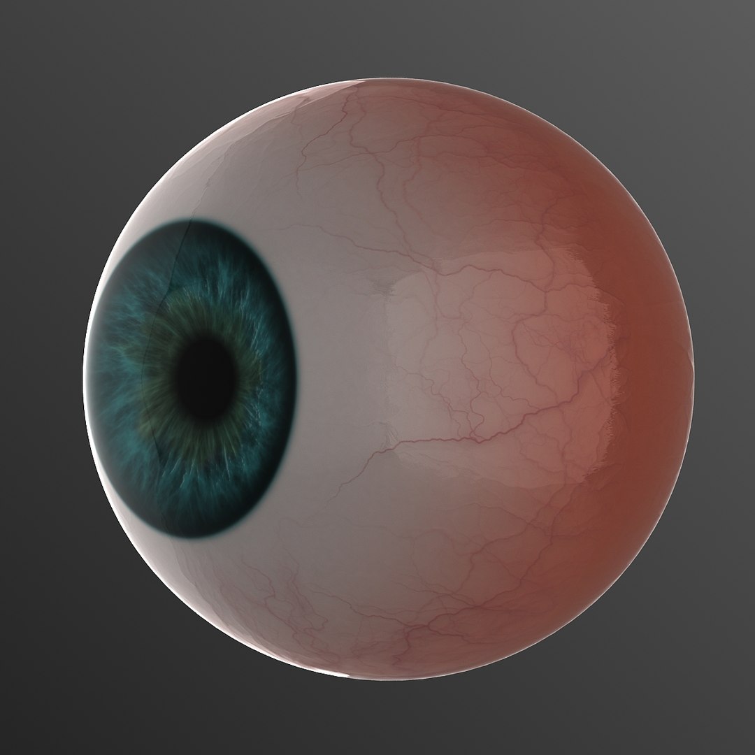 3d Human Eye
