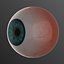 3d Human Eye