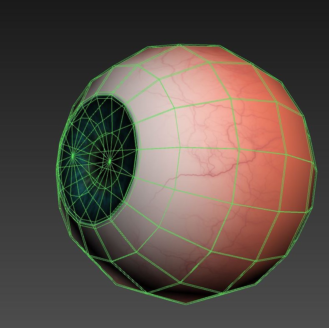 3d Human Eye