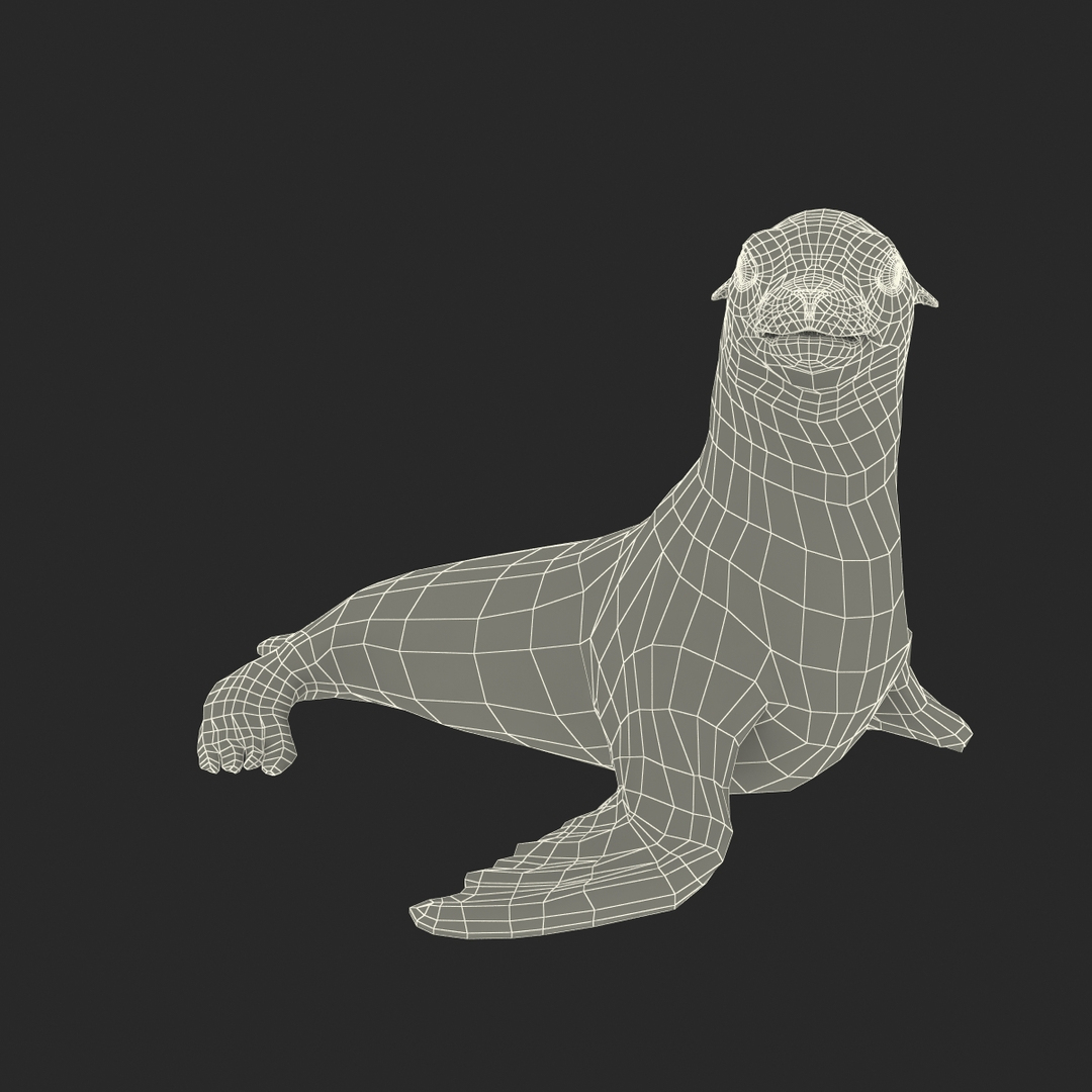 Sea Lion Pose 2 3d 3ds
