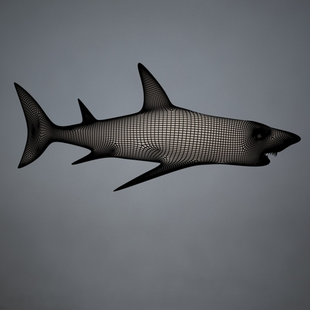 3d shark games normal model